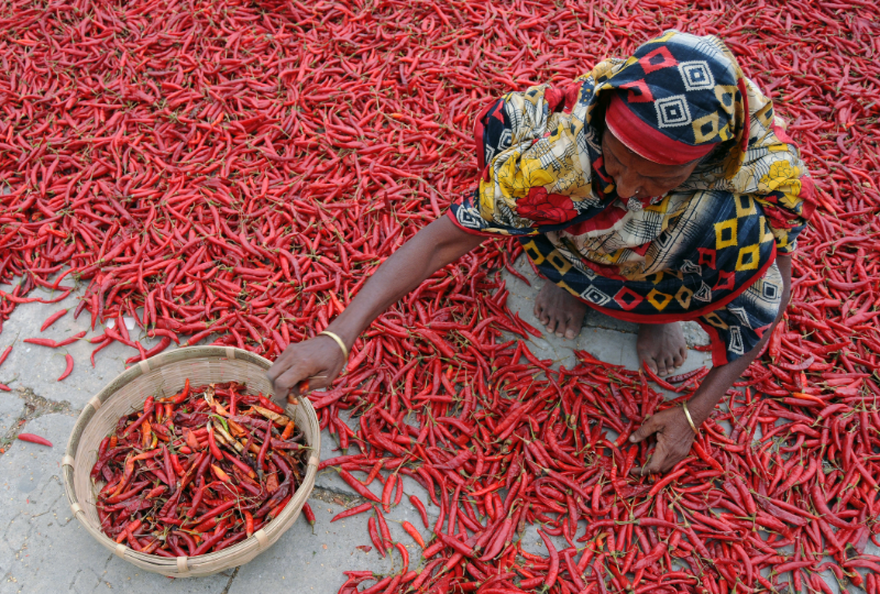 6 Key Tips For Becoming A Master Of Spices – Mujibo.com